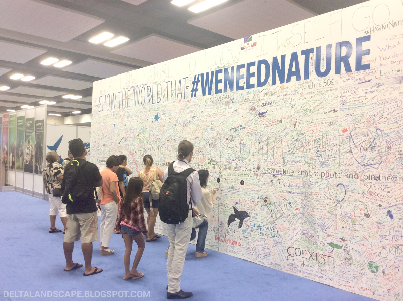 A Changing Landscape: Interesting conservation work being done around ...