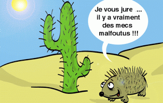 LE COQ PICORE: HUMOUR