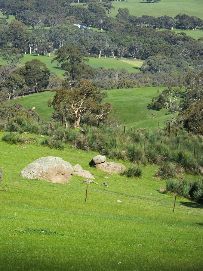 Meander to the Max: The view from Mount Alma -- high country, and ...