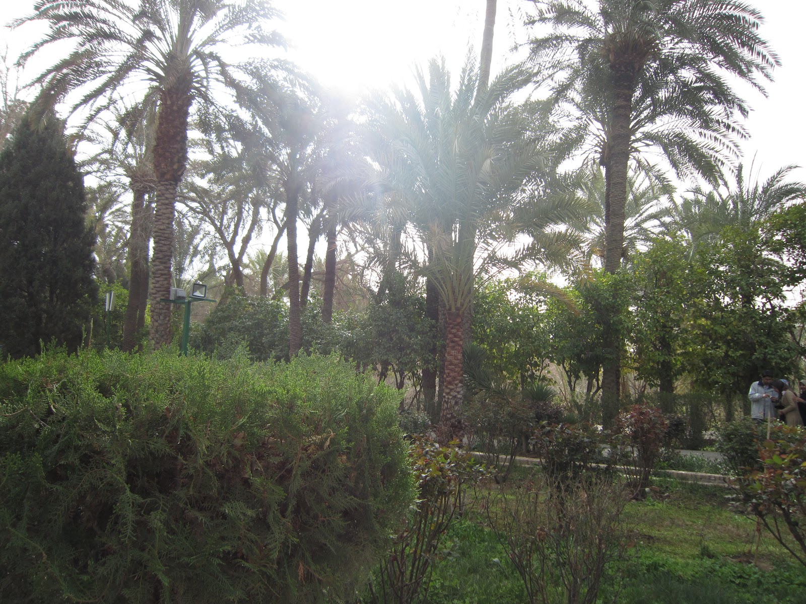 Princess Min Ji (민 지): My Beautiful Iran: Tabas city