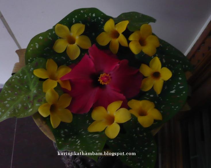 Flower Decoration / Flower Kolam / Poo Kolam - 18 ~ Kurinji Kathambam
