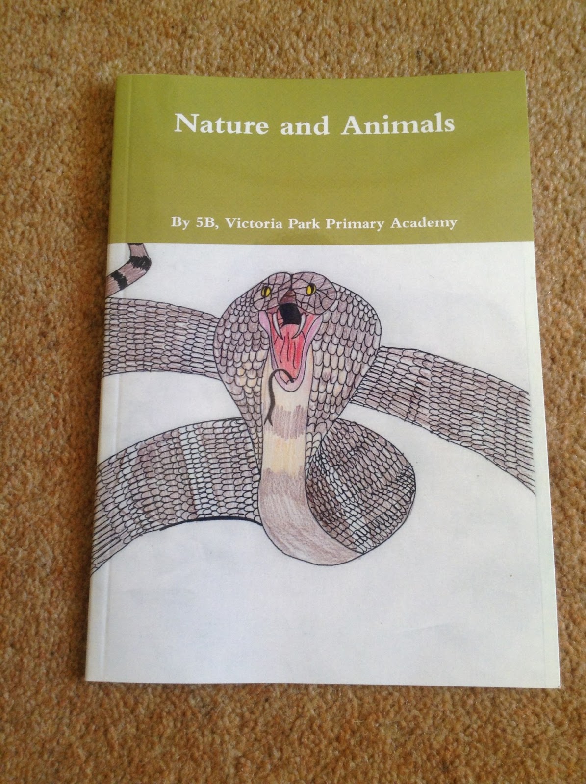 Picture Book Den: Getting children even more excited about reading and ...