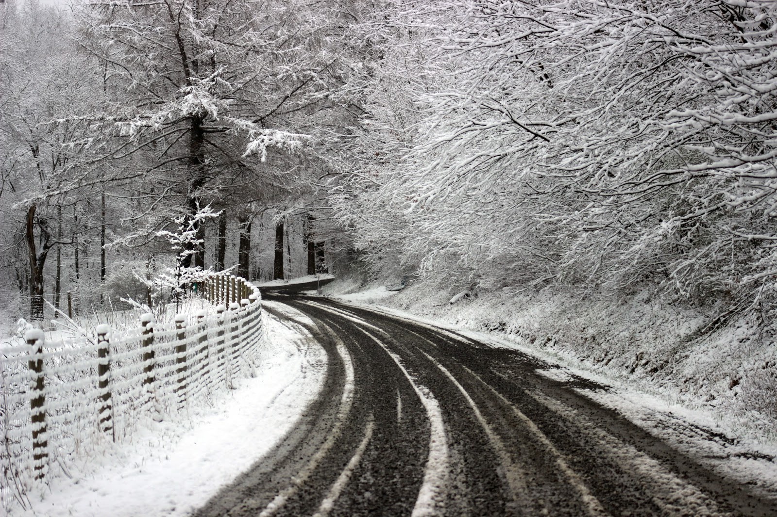 Tymes Past : Where did Spring go???