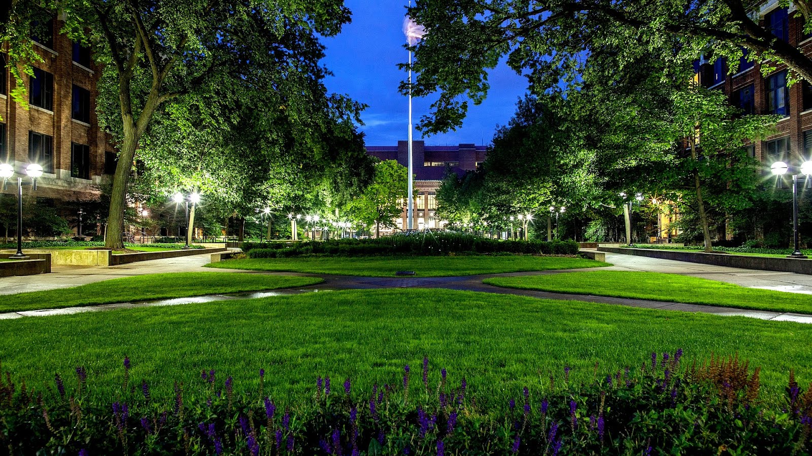 University of Michigan Library Photo - Photo Choices