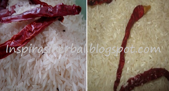 Bunda Wajib Tahu! Begini Cara Basmi Kutu & Ulat Beras Hanya Dengan ...