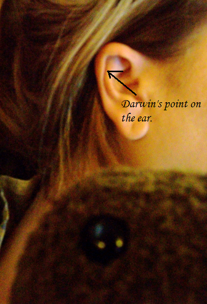 AP Biology: Vestigial Organs