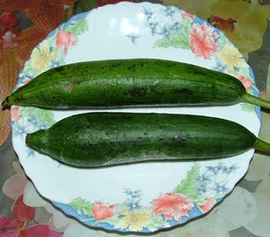 What We Know About Food: Gilki Turai / Sponge Gourd (Luffa)