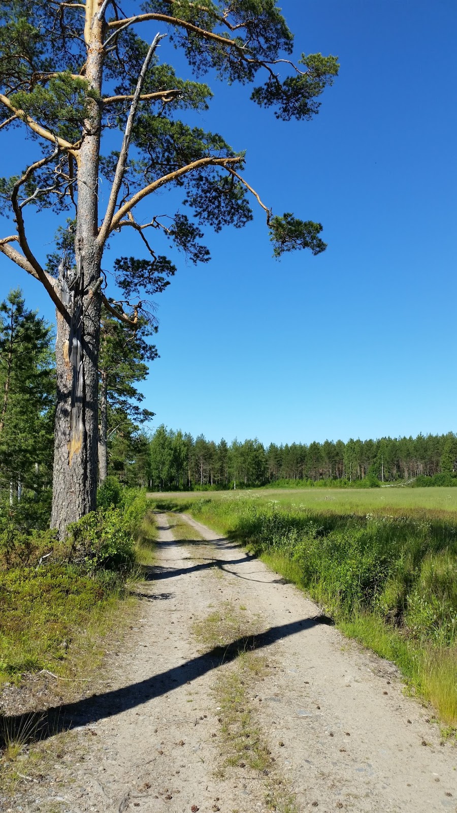 Hyvää ja kaunista: Omaa lomaa pitkästä aikaa