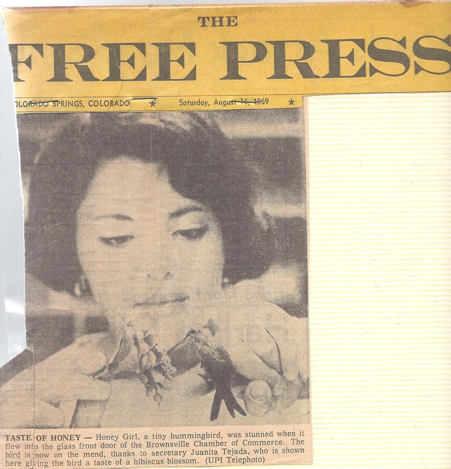 Brownsville Station: 1969 ~ Beauty and the Bird (Janie G. Tejada)