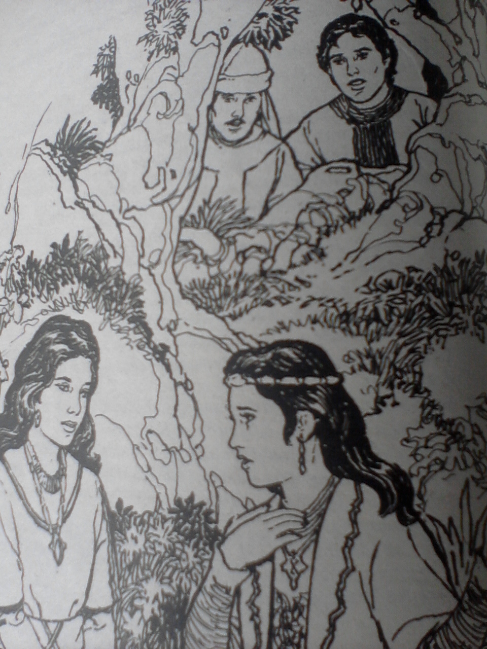 Menandro Sa Florante At Laura Drawing