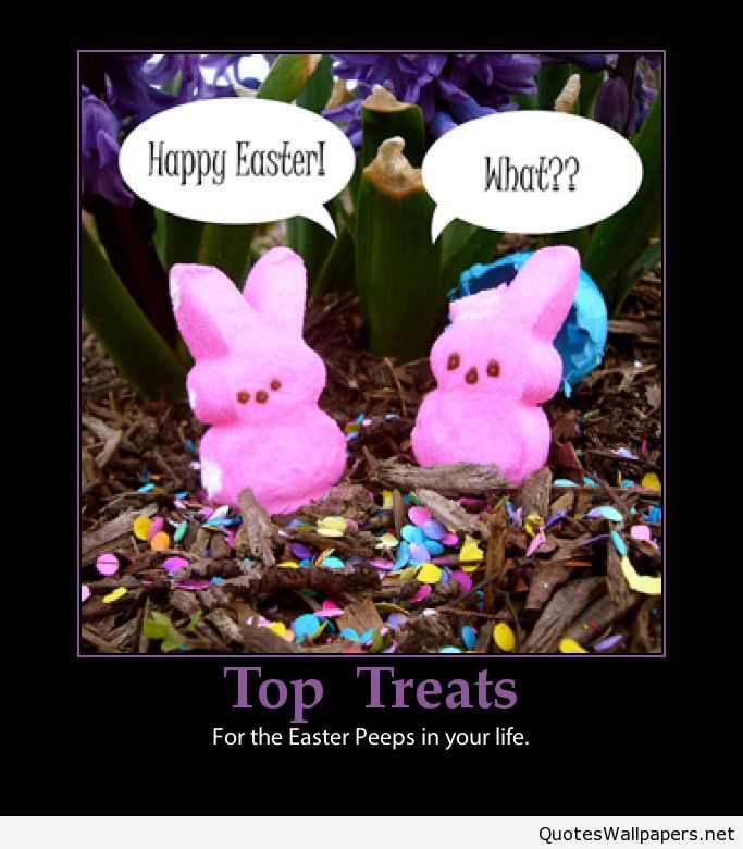 Speak of the Devil: The Chocolate Hoarding Easter Bunny