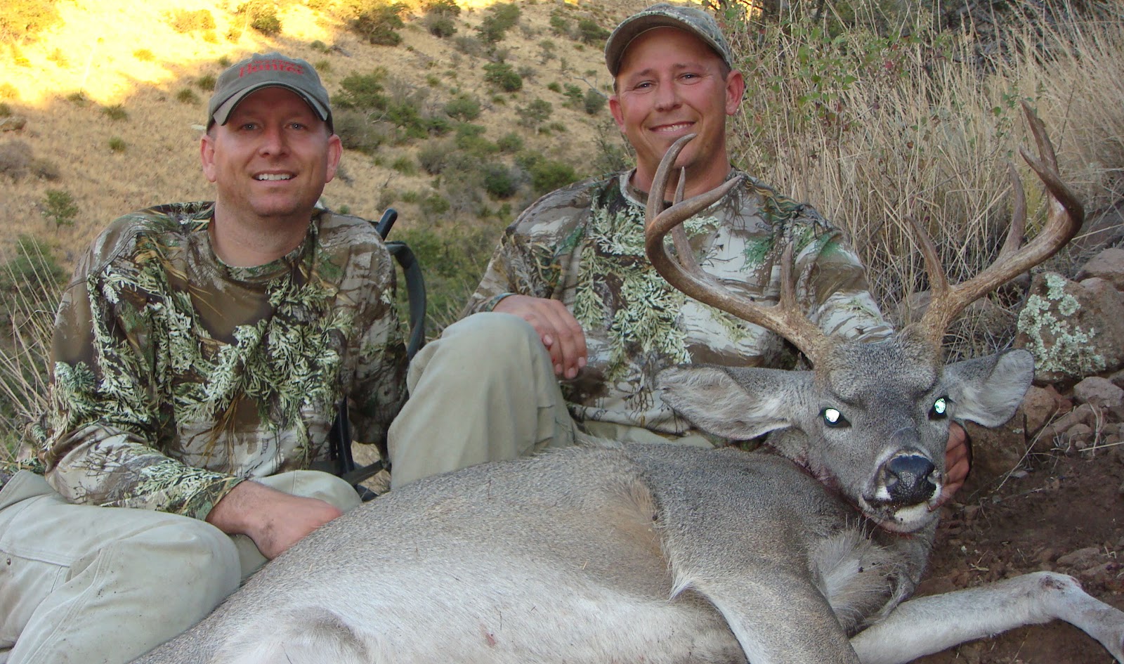 Colburn and Scott Outfitters: Arizona Deer Hunts