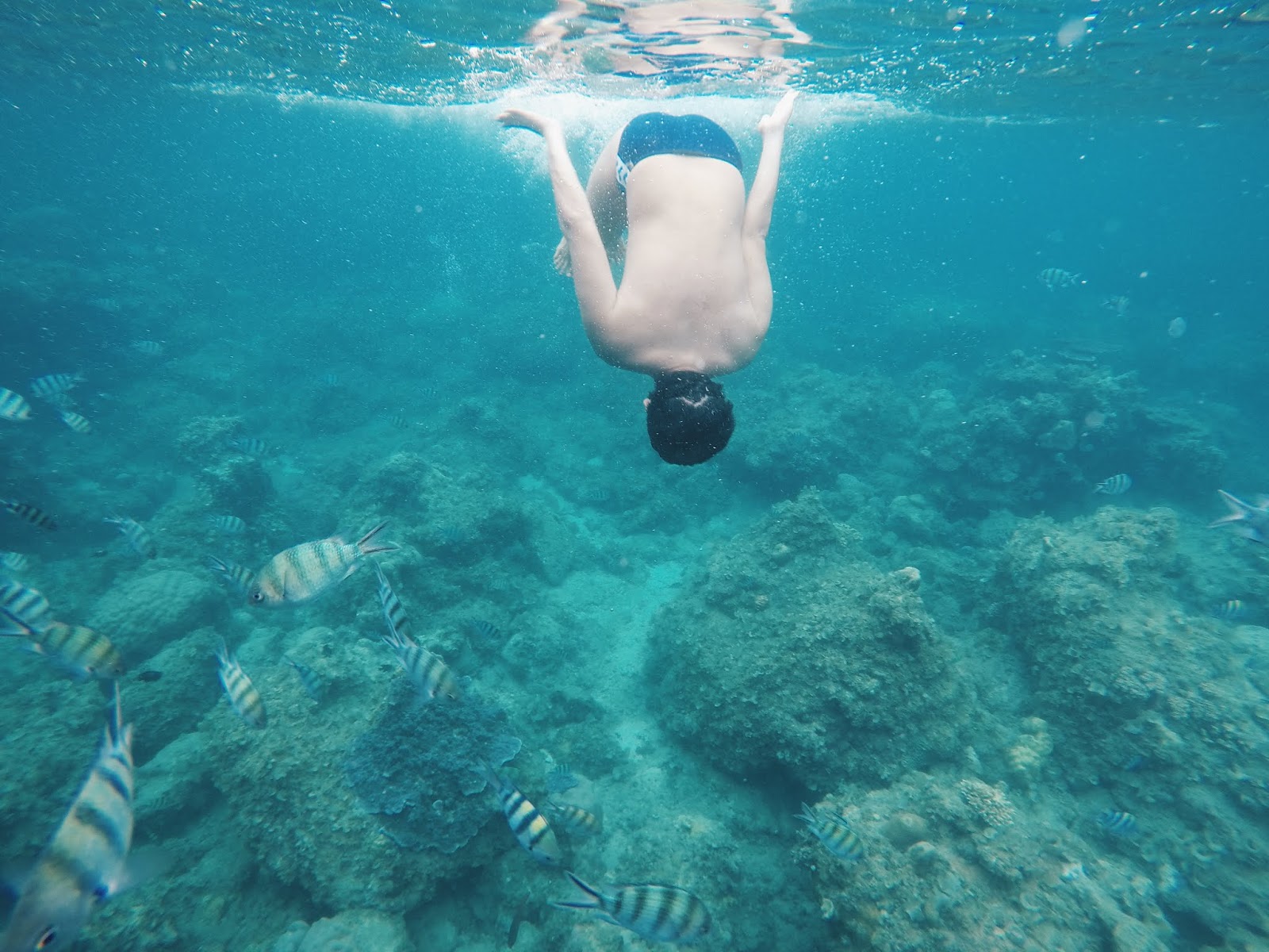 Antara Tenggelam dan Menyelam