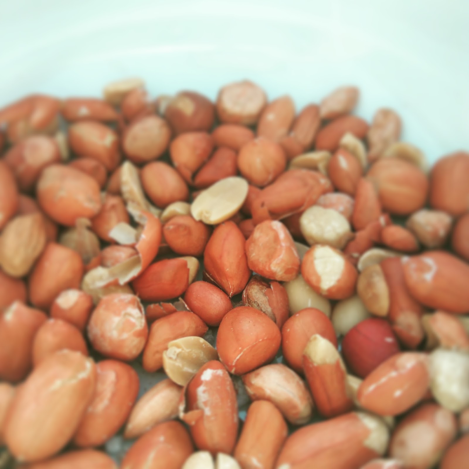 Ginguba, ou o amendoim dos Deuses? - Faz lá isto na Bimby!