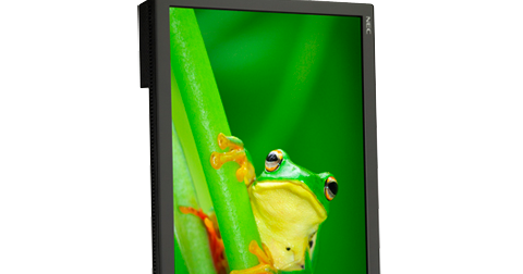 Gerenciamento de Cores e Colorimetria: Nova opção de monitores para ...