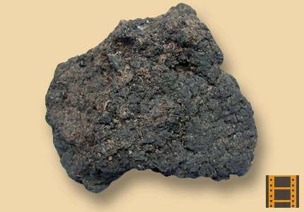 blog paleontologico de carolina: VERTEBRADOS FOSILES DE LA TURBERA DE ...