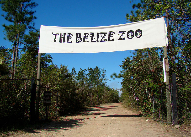 The Belize Zoo