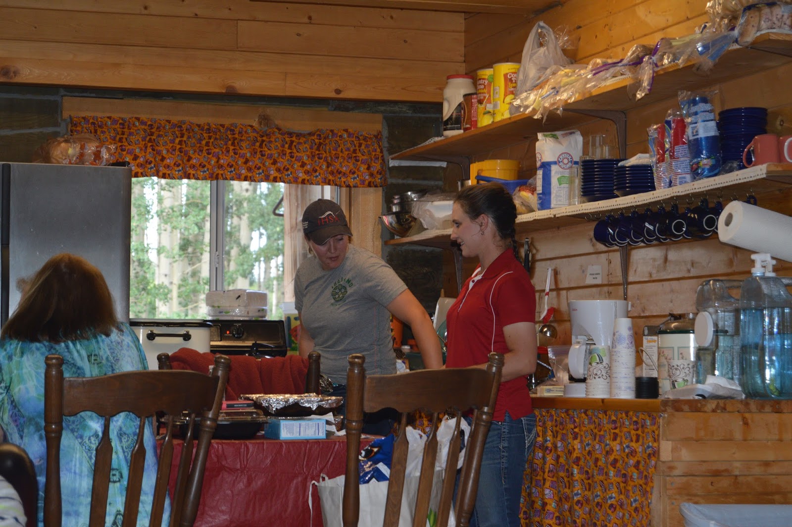 SilverSailing: Shull Family Reunion