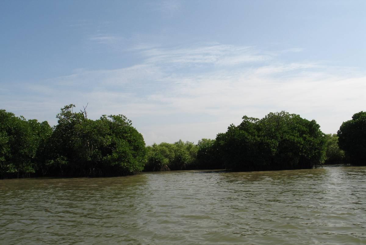 Tamilnadu Tourism: PICHAVARAM