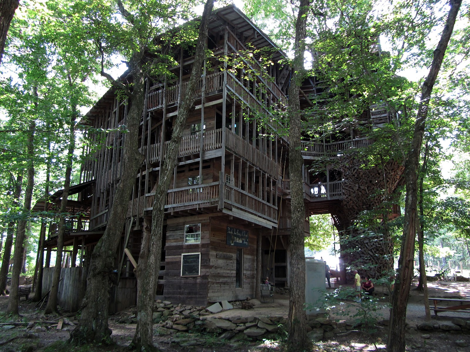 Going Out on a Limb - The Road Junkies