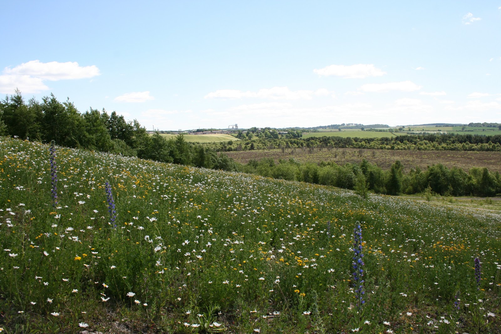 All Our Stories- 'Fallin Bing- from Coalfield to Brownfield!': Fallin ...