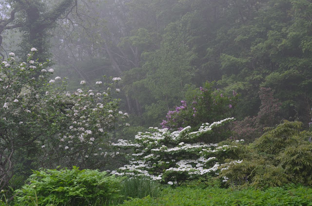 Flower Hill Farm: Drops Of Time Caught In The Mist Garden Facades