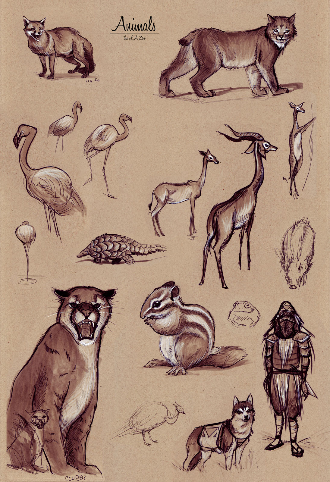 Vis_Com_Final_ANIMALS.jpg (1095×1600) | Vis