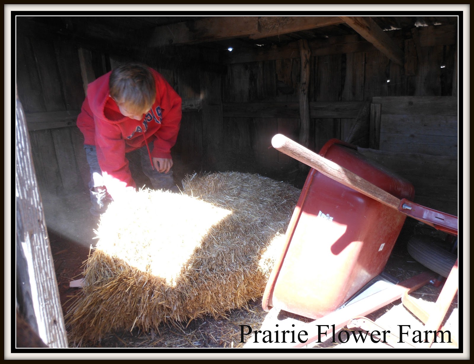 Prairie Flower Farm: Hope You Are Enjoying Your SONday!