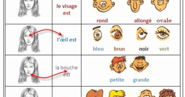 Mon école FLE A1: La description physique