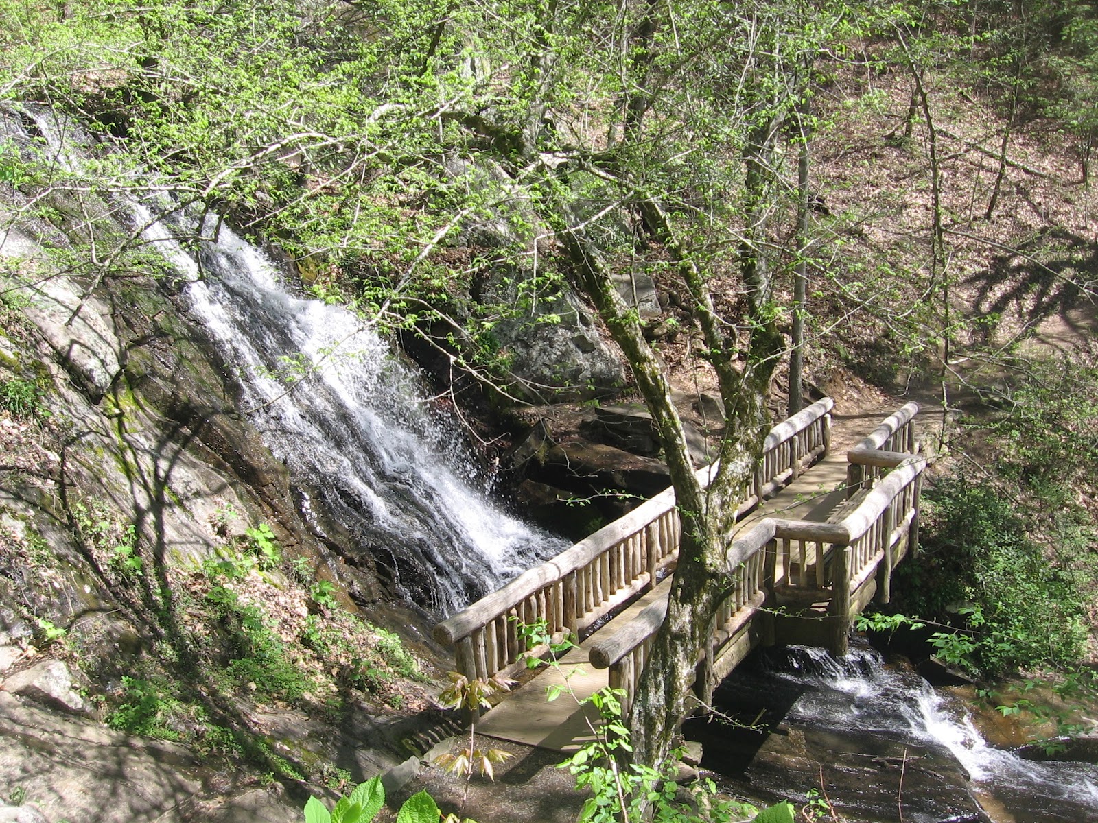 Relaxed Hiking NC: Deep Creek Loop Hike Smokey Mountains 4/7/2012
