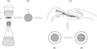 Membrane Filter Technique | Membrane Filtration Method (Microbes ...