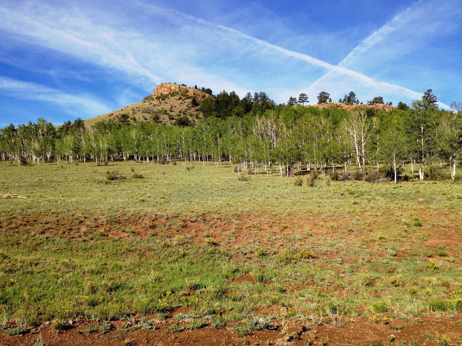 Russ & Erin's Roadtrip