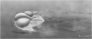 Life Before the Dinosaurs: Cryptolithus.