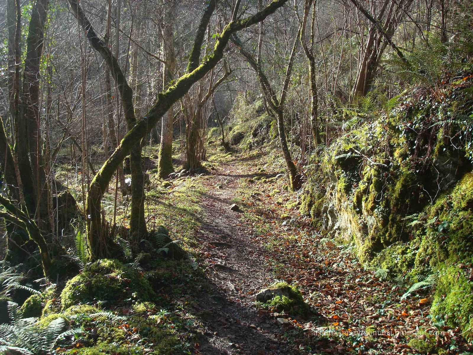 Asturias Mar y Montaña: PR-AS 198 RUTA DE LA RIBERA DEL RÍO PEÑA