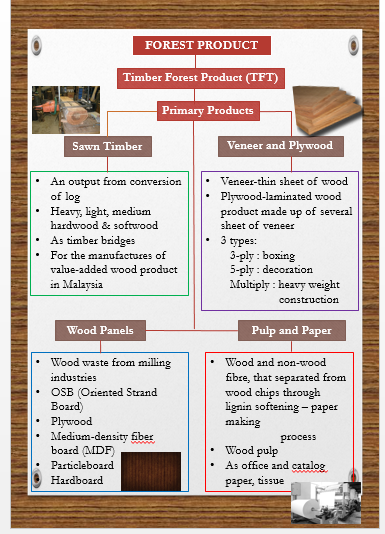 Introduction to Forest Science: Group 5 - Timber Forest Products (TFT ...