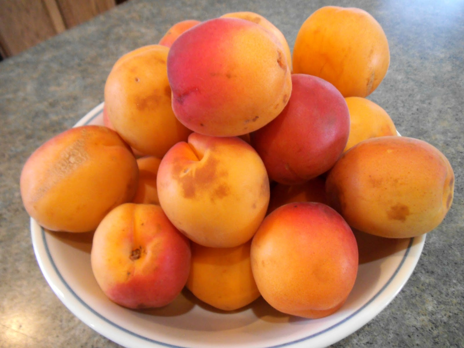 Yankee-Belle Cafe: Baked Apricots with Almonds
