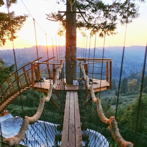 The Real Dwayne Allen.com: Treehouse Zipline