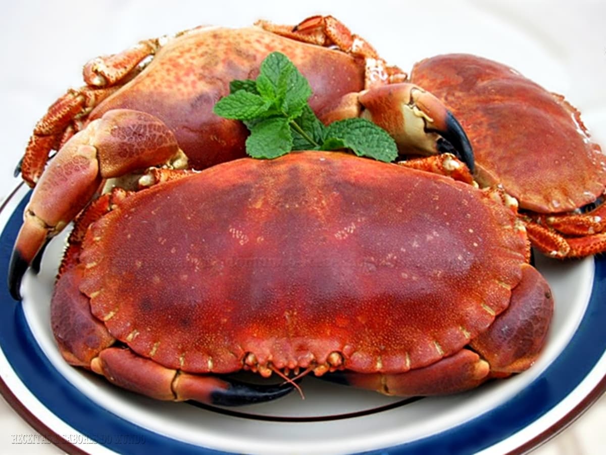 Sapateira Recheada - Dungeness Crab - Receitas e Sabores do Mundo