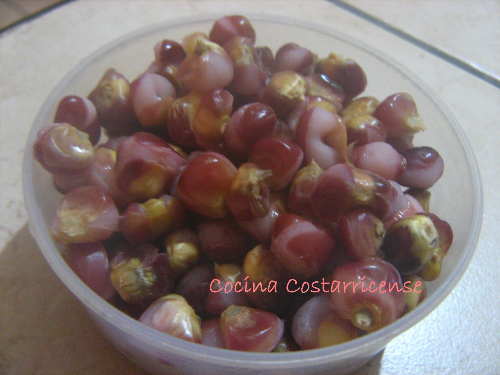 Cocina Costarricense: chicheme
