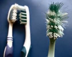 Ask.DentistMY 牙牙学医: The Ugly Truth You May Not know About Your ToothBrush