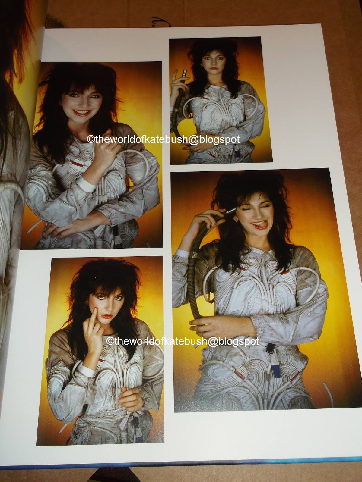 THE WORLD OF KATE BUSH: The Kate Inside: Collector Edition Book by ...