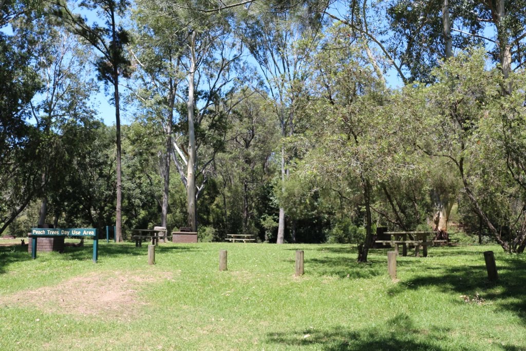 National Park Odyssey: Peach Trees Camping Area, Jimna State Forest, QLD.