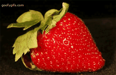 Introducing the New Gifs: Strawberry