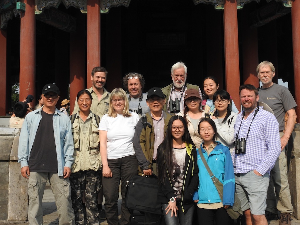 Action for Swifts: Beijing Swift Project 2016