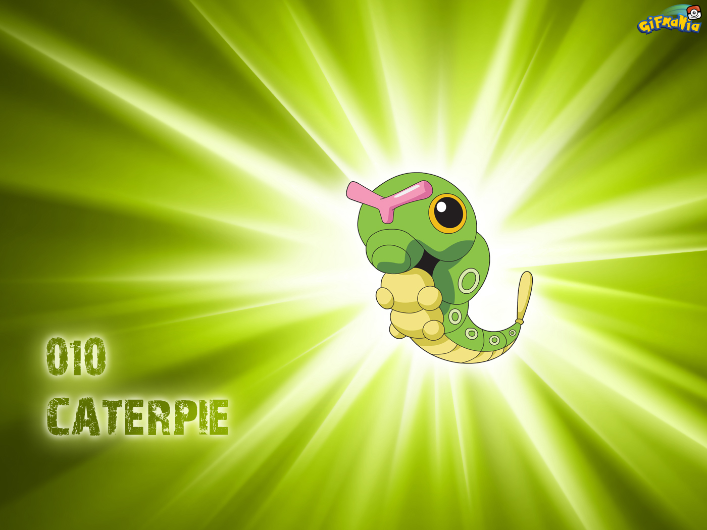 FANS POKEMON: 010 CATERPIE.