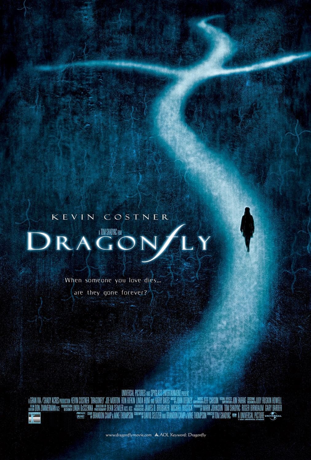 MauiPeterBMovieReviews.blogspot.com: Dragonfly (2002) [PG-13]