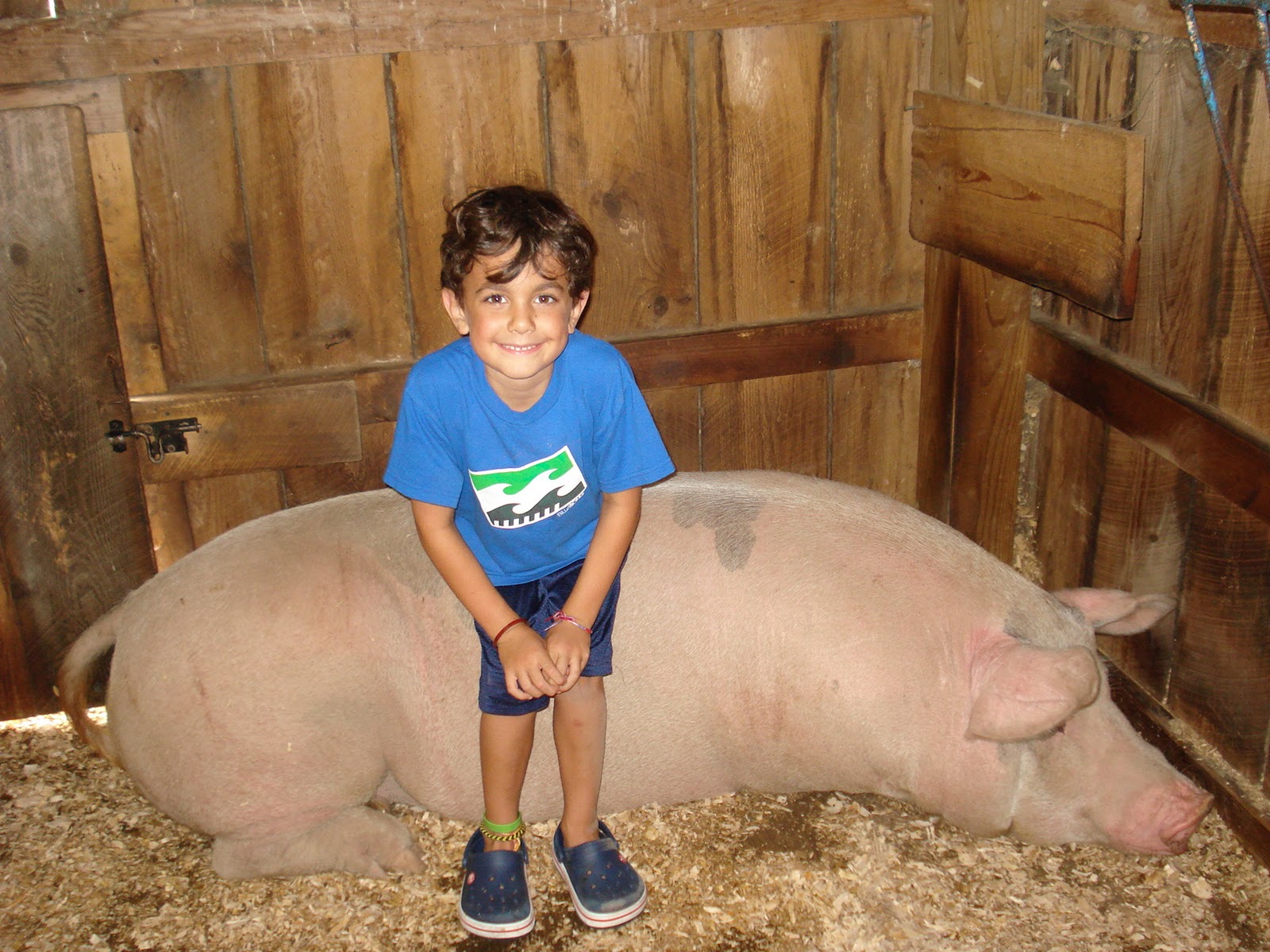 Endless Sanctuary - Lynn Braz