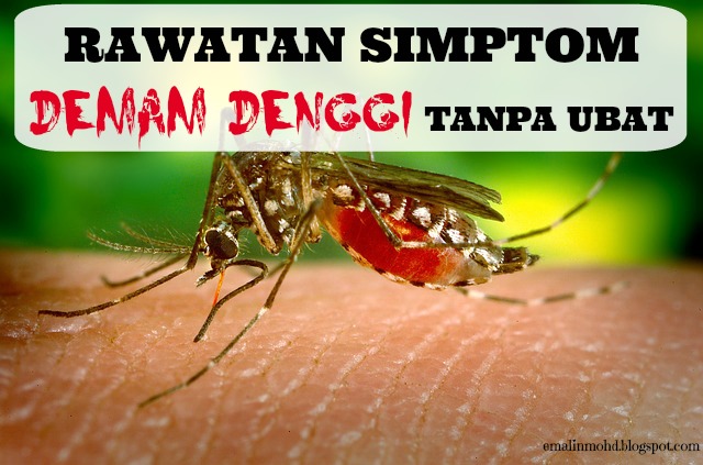 Petua Merawat Simptom Demam Denggi Tanpa Ubat Sesuai Untuk Dewasa dan ...