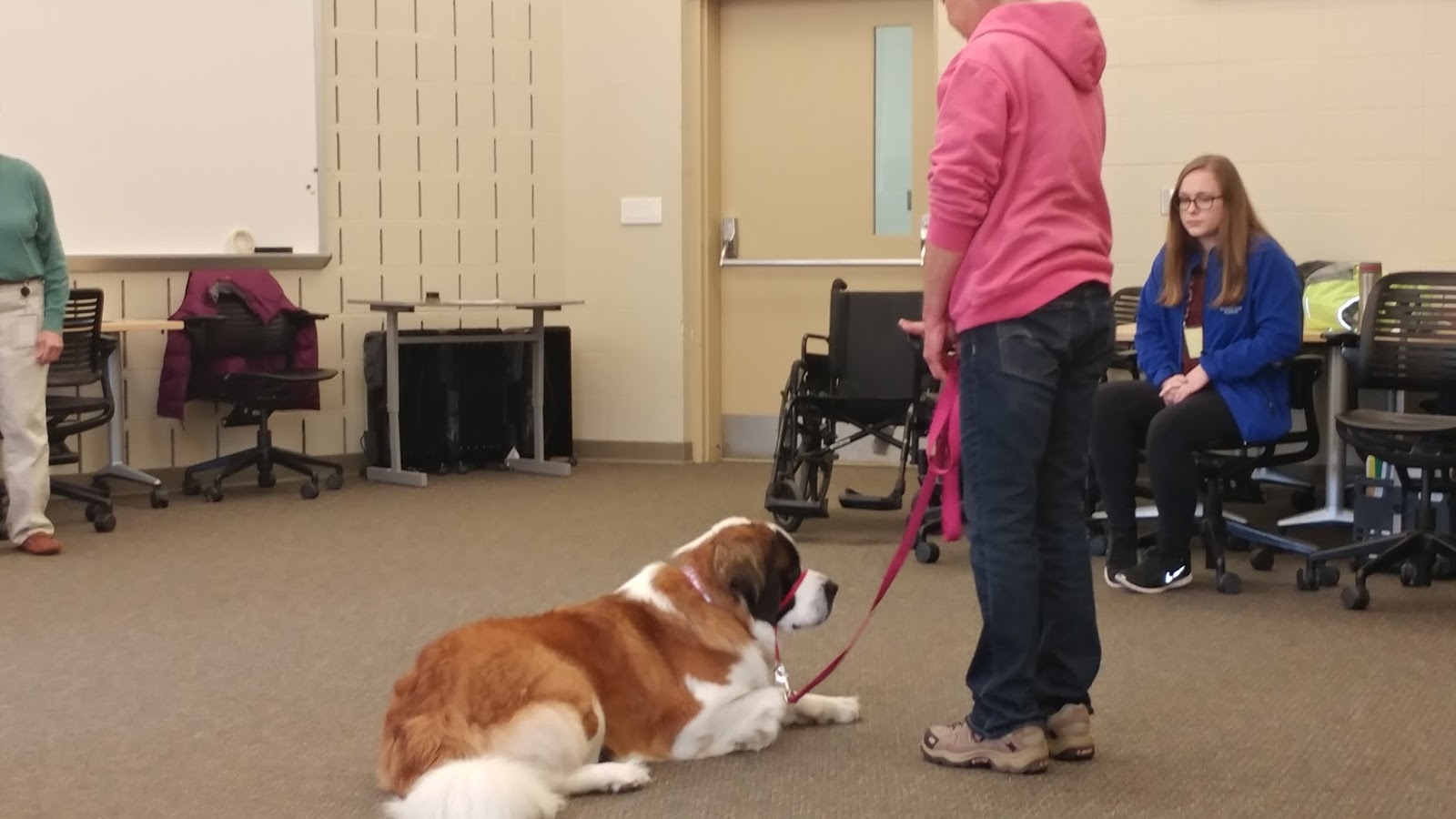 Stories From Sweetgrass Farm A Therapy Dog Test stories-from-sweetgrass-farm-a-therapy-dog-test