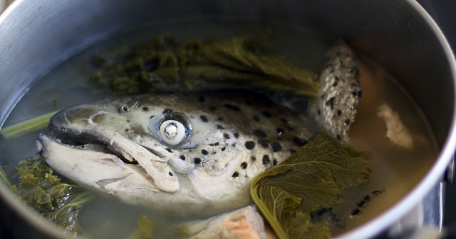 World O' Crap: From Primordial Soup to Nuts